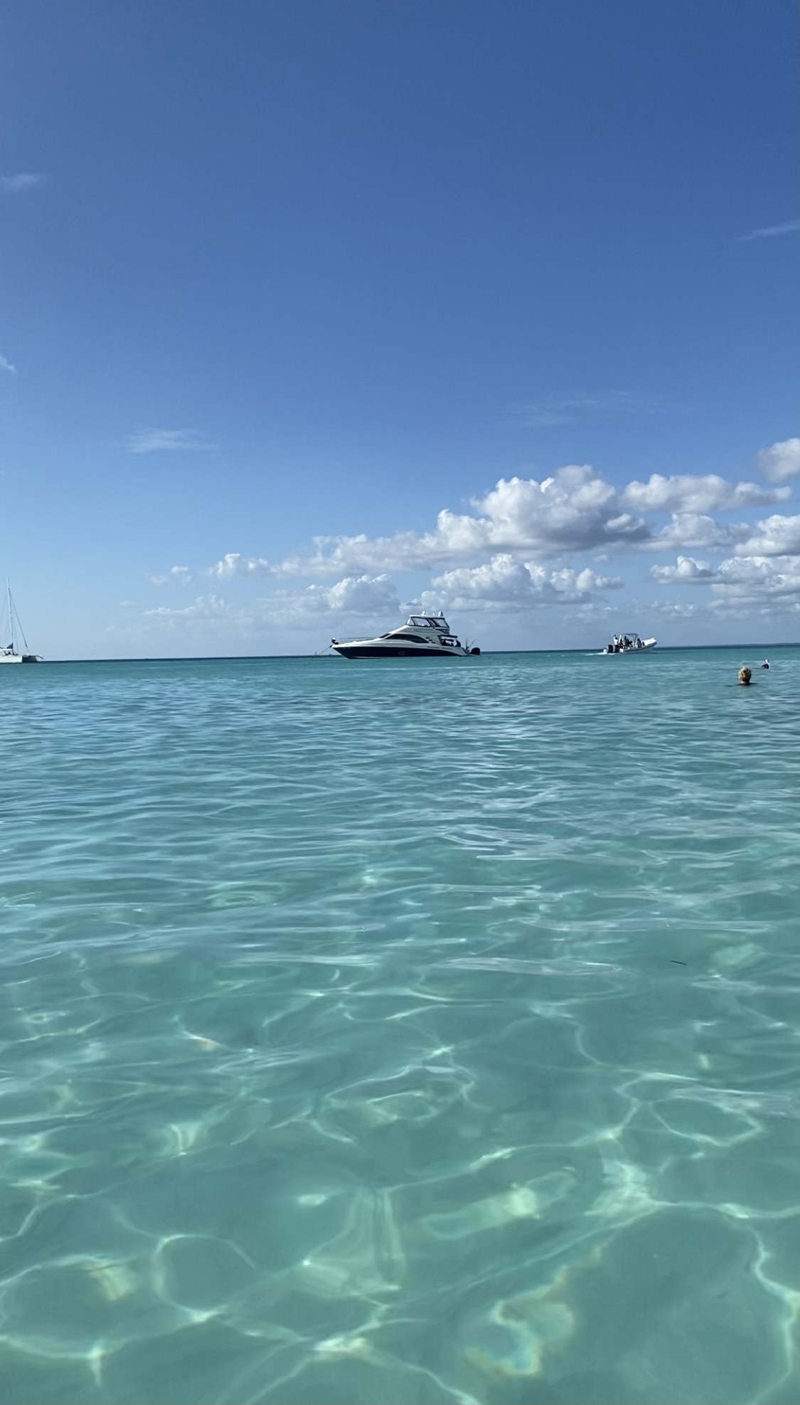 Carter Roy, Canadian news reporter shares his vacation nightmares after ...